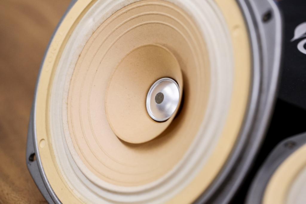 Coral Flat 6 II Full Range Speaker Driver 6" Inch (Not Lowther, Fostex ...