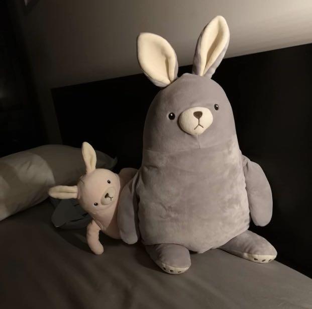 Preorder Miniso bunny rabbit, Hobbies & Toys, Toys & Games on Carousell