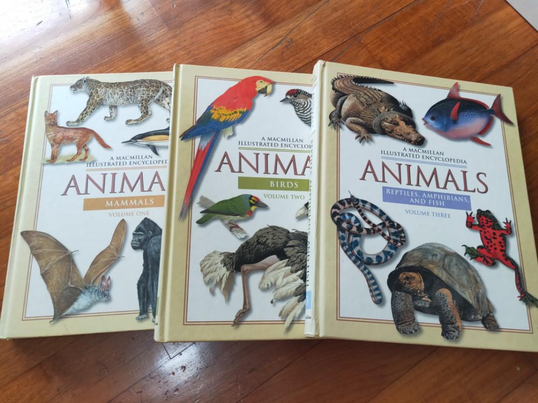 Animal encyclopedia, Hobbies & Toys, Books & Magazines, Assessment ...