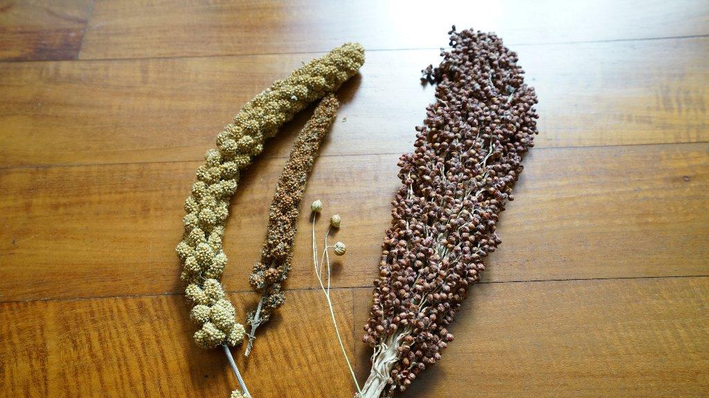 Millet / Seed Spray Sets - Hamster / Bird Foraging / Treats (Red ...