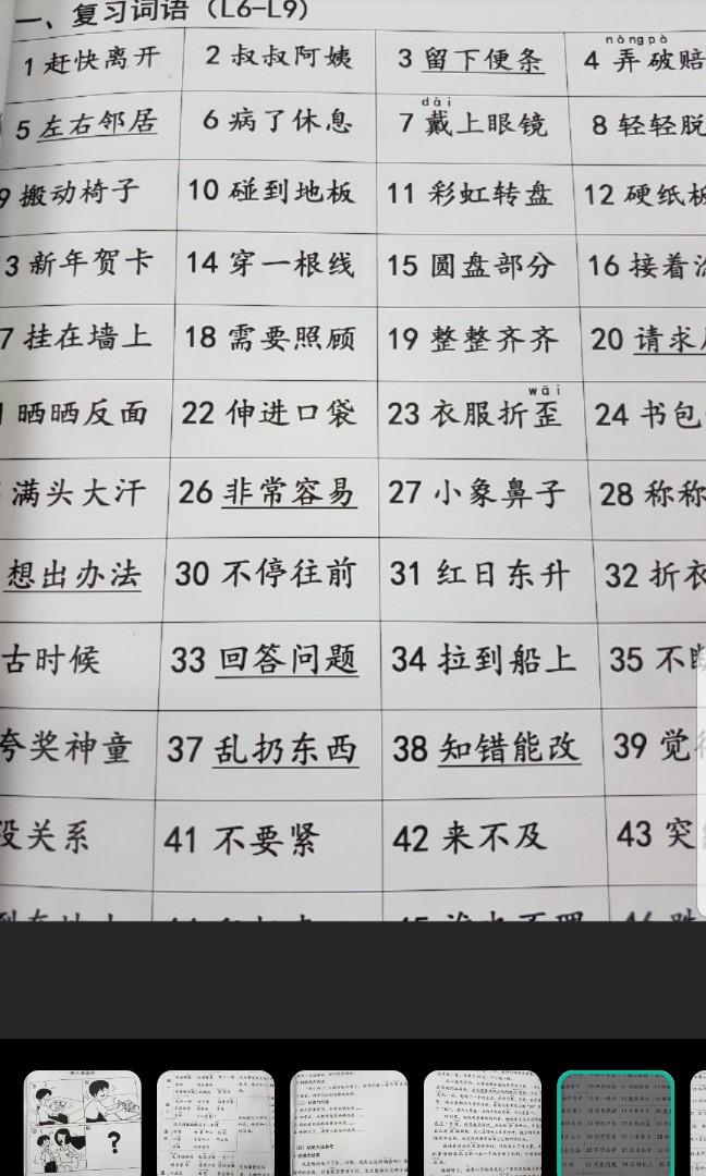 P3 P4 P5 higher chinese compositions guide with good words and phrase ...