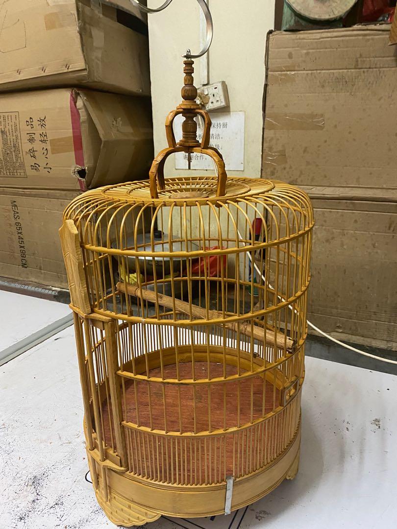 Hb, magpie Cage, Pet Supplies, Homes & Other Pet Accessories on Carousell