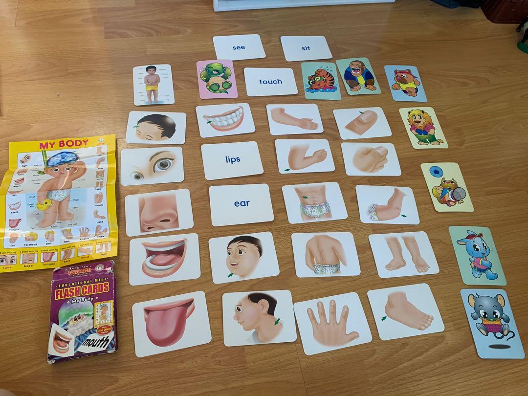My Body Flashcards With mini chart, Babies & Kids, Infant Playtime on ...