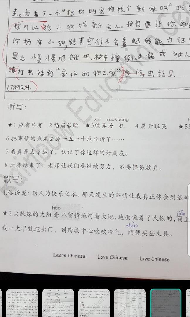 P4 A Chinese paper 1 & 2 with oral and model answer, Everything Else on ...