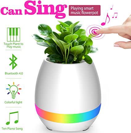 Smart Music Flower-Pot Planter, Touch-Play Indoor Plant-Pot, Wireless ...