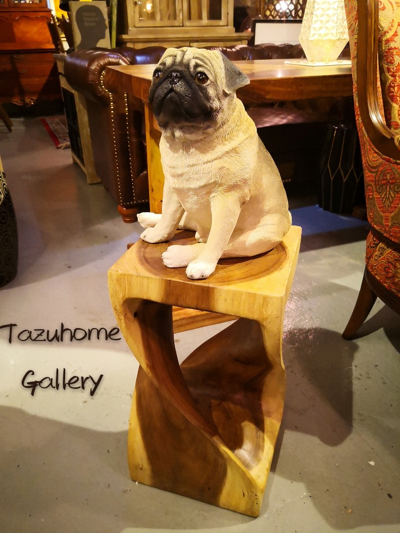 TAZU推介:新番嚟超逼真,超得意的八哥擺件..靚到不得了,一打開包裝,"嘩"一聲,., 傢俬＆家居, 家居裝飾, 家居裝飾 - 其他 ...