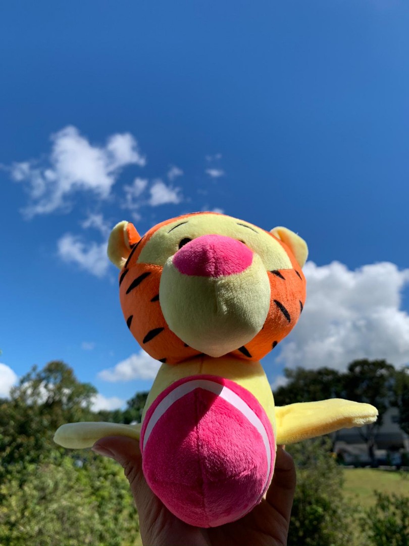 Tiger on Airplane Disney, Hobbies & Toys, Toys & Games on Carousell