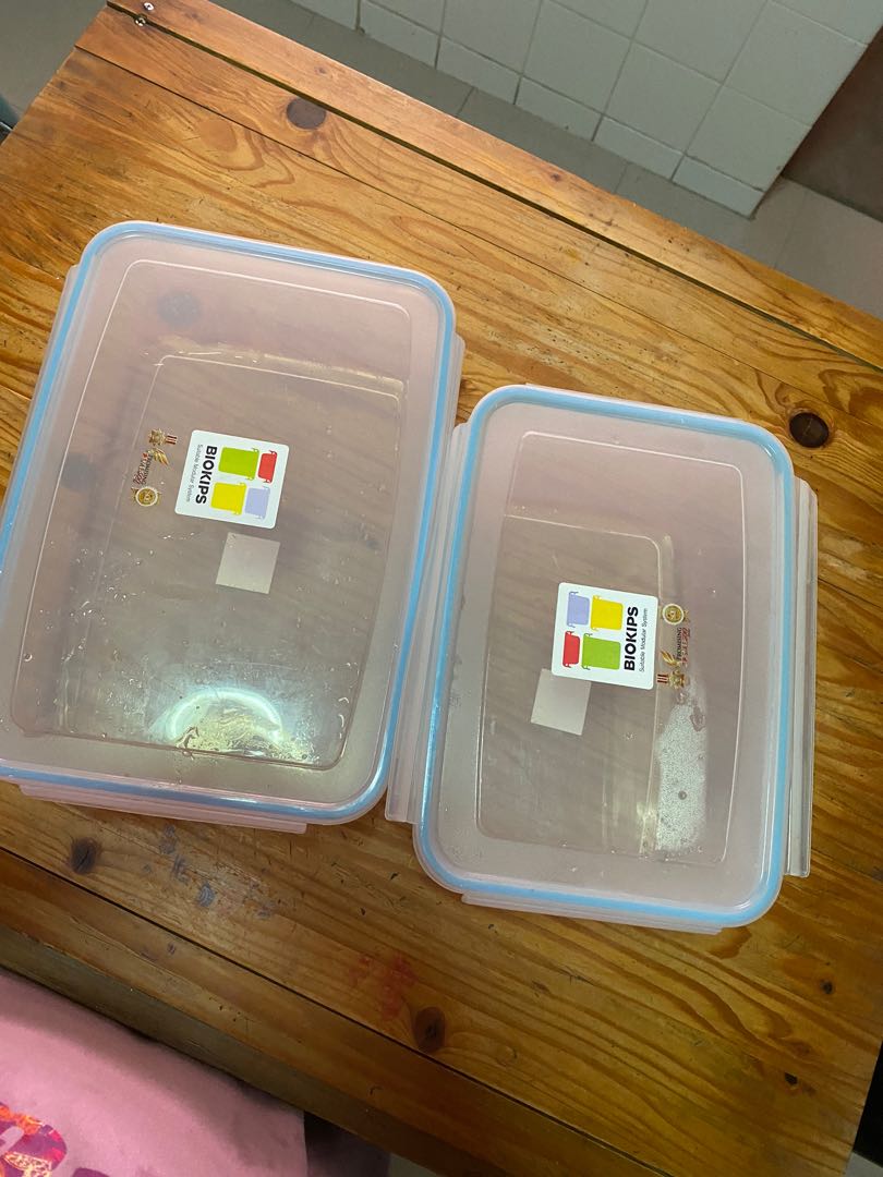 Biokips tupperware, Everything Else on Carousell