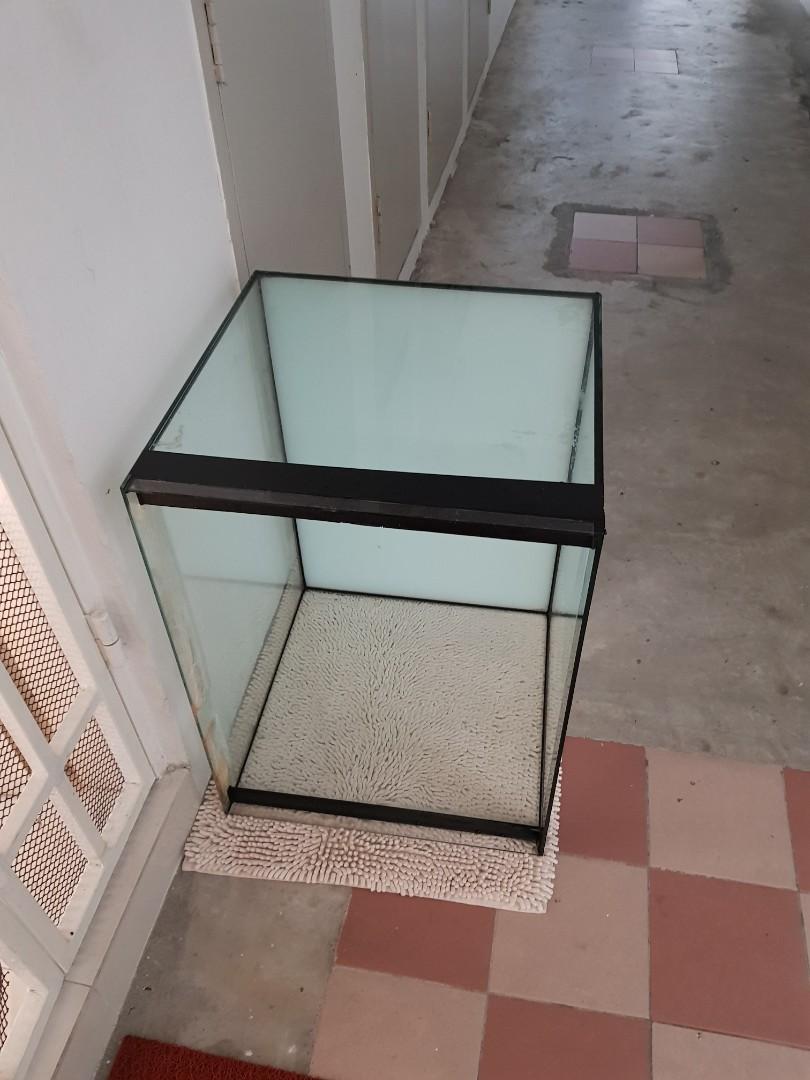 Fish tank 2 feet x 1. 5 feet x 1.5 feet black silicone, Pet Supplies ...