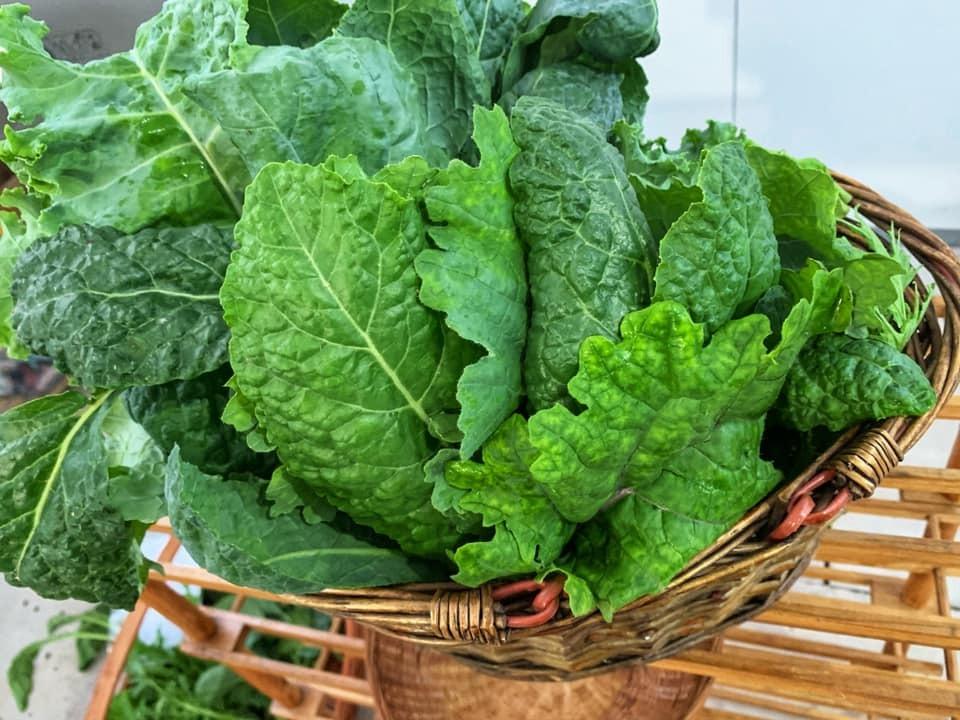 Fresh Kale, Lettuce Mix and Asian Leafy Greens, Food & Drinks, Local ...