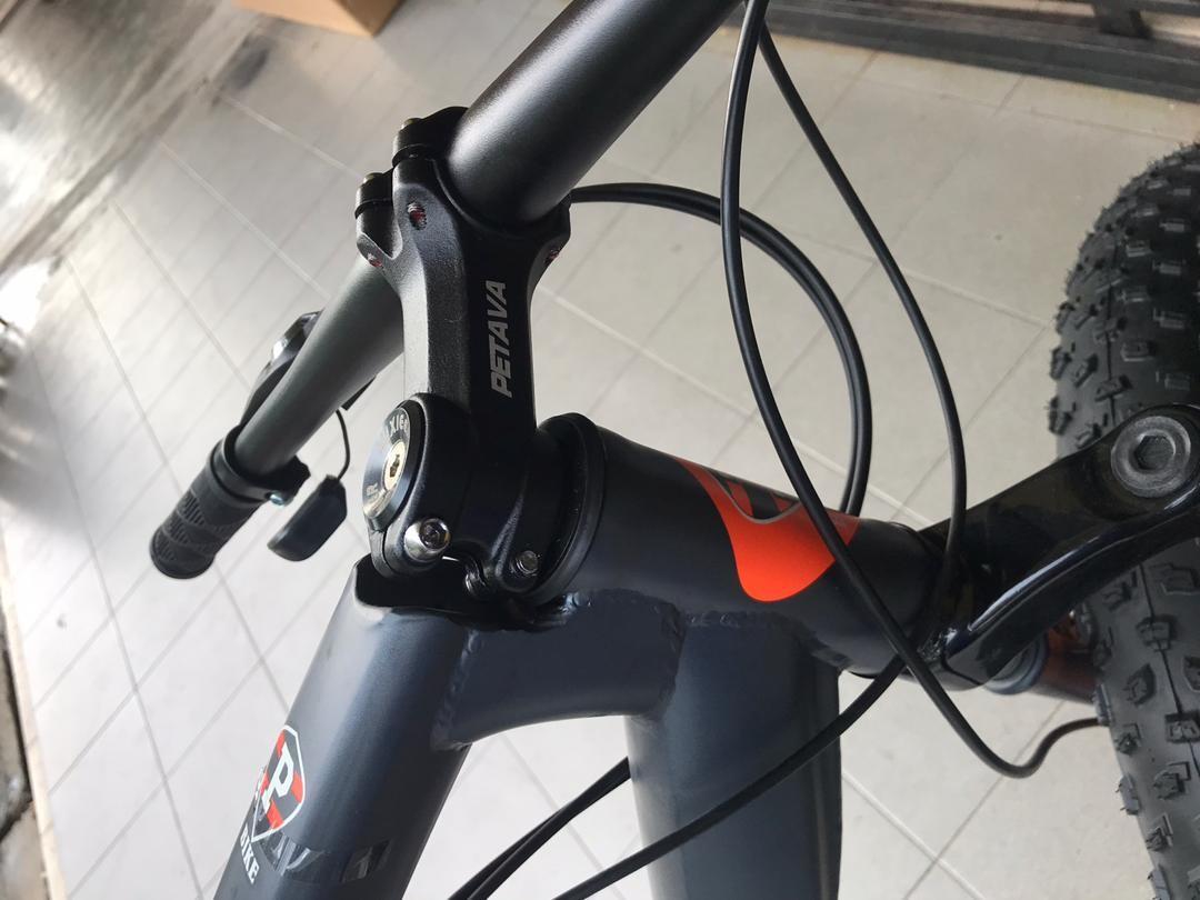 Petava fat bike, Sports Equipment, Bicycles & Parts, Bicycles on Carousell