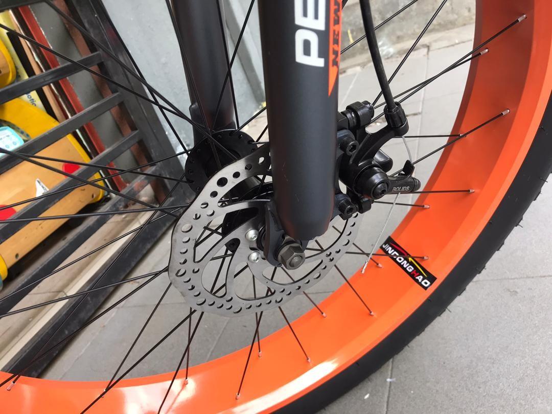 Petava fat bike, Sports Equipment, Bicycles & Parts, Bicycles on Carousell