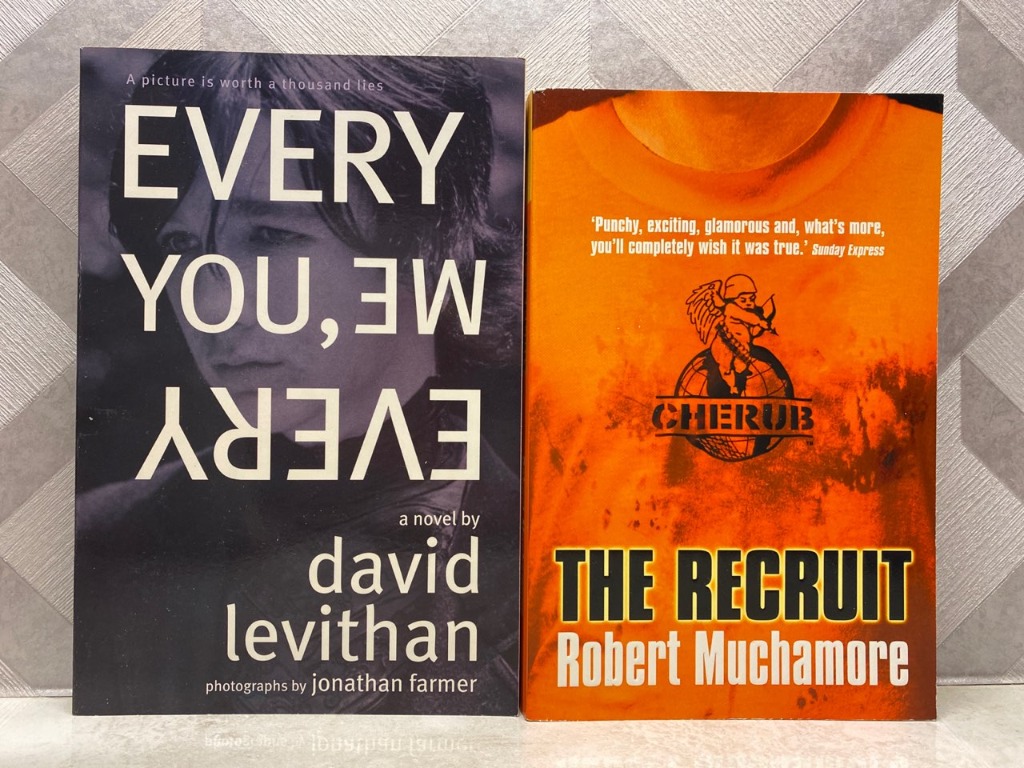 Young Adult Books 3 (David Levithan, Robert Muchamore)), Hobbies & Toys ...