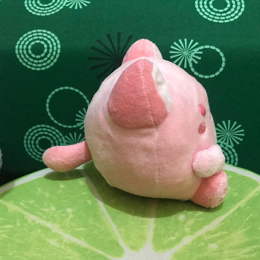 Japanese maruneko cat, Hobbies & Toys, Toys & Games on Carousell