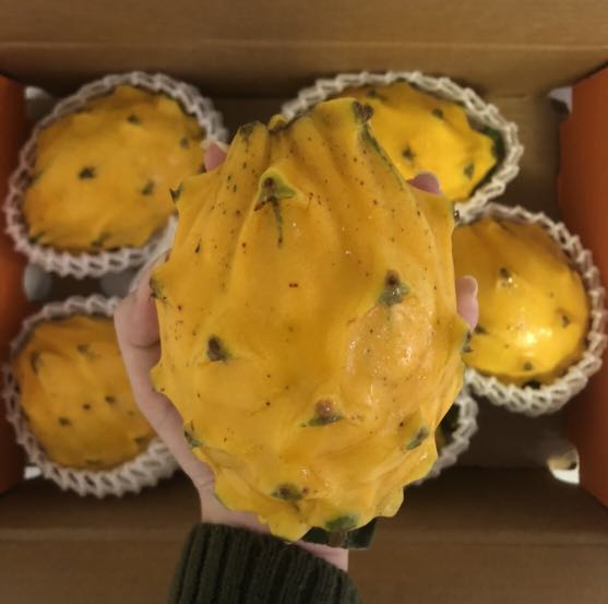 Ecuador Golden Pitaya (Yellow Dragon Fruit), Food & Drinks, Packaged ...