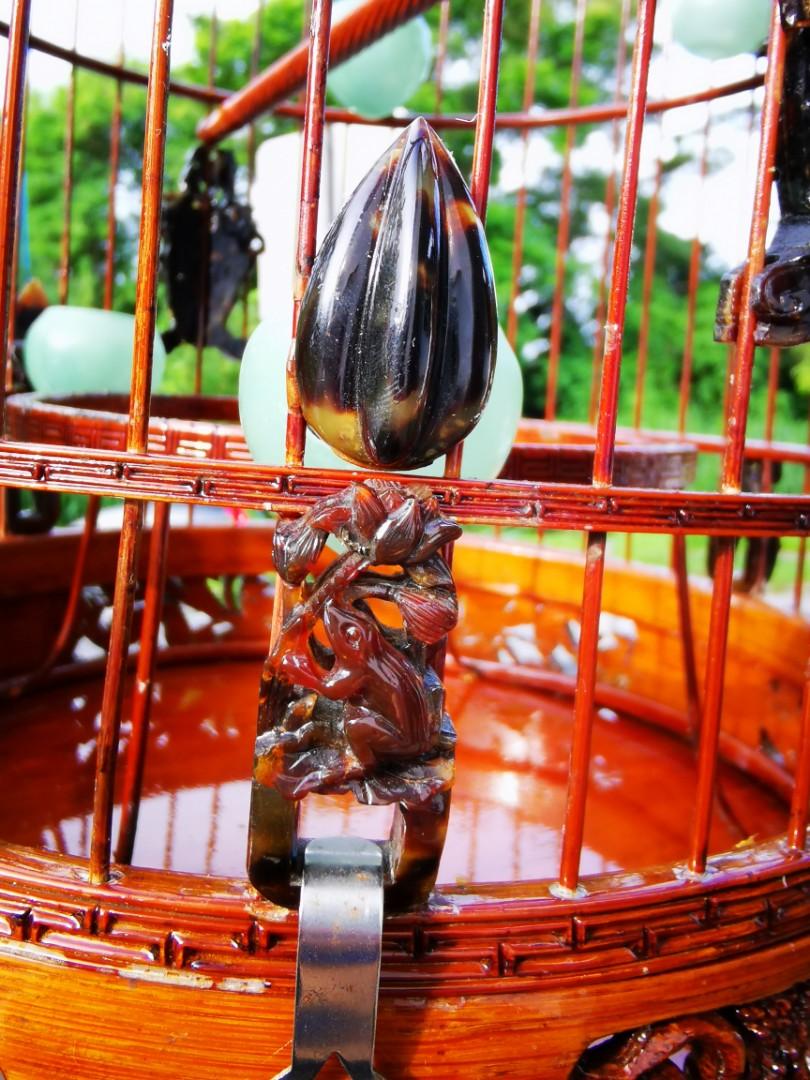 Mata Puteh Bird Cage 8.6" FPC ( Real turtle shell accessories expect ...