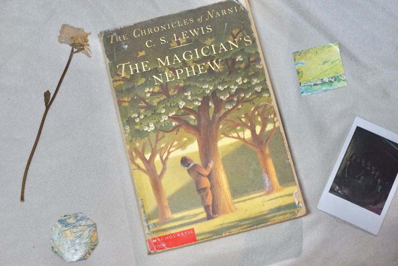 Narnia first book “The Magician’s Nephew”, Hobbies & Toys, Books ...