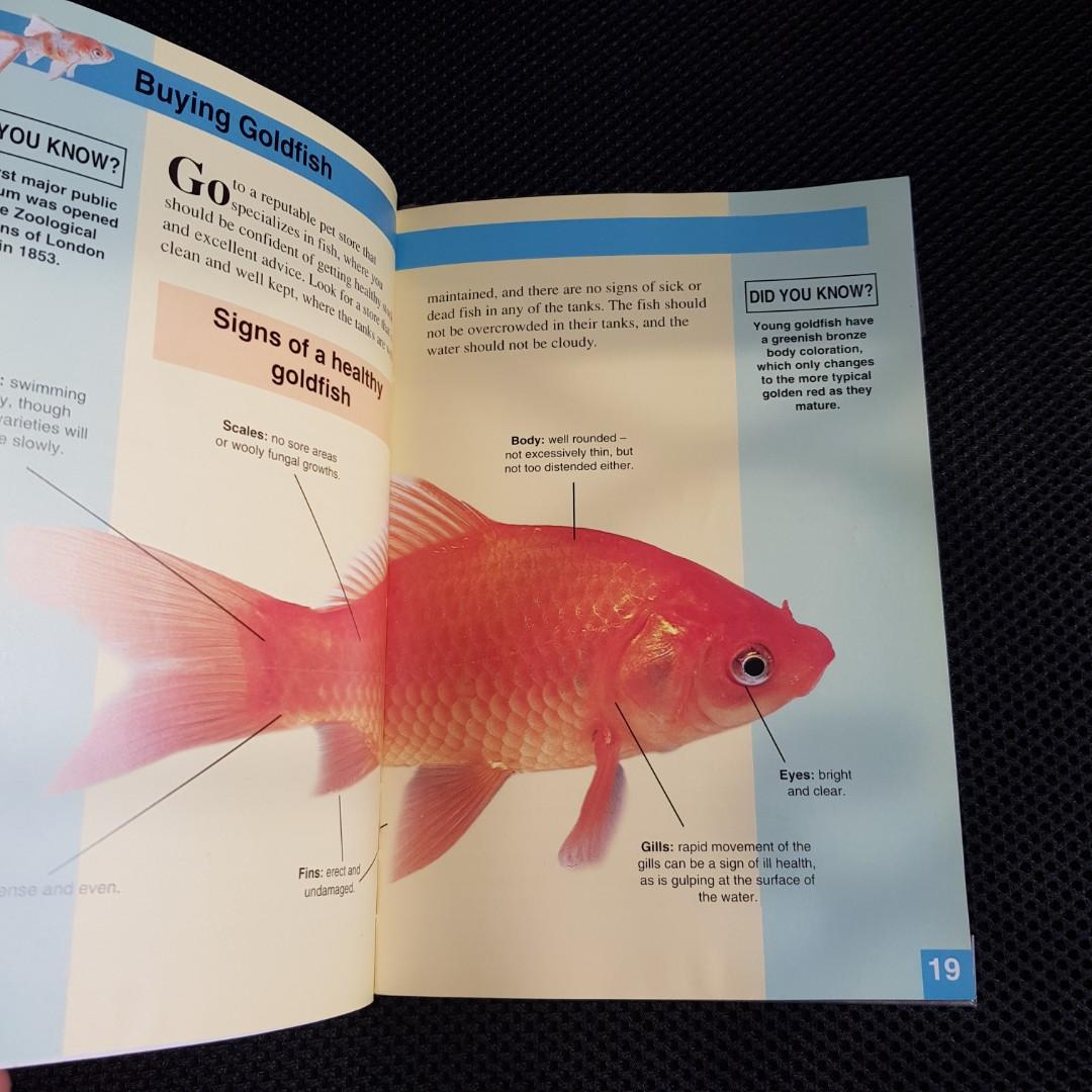 BOOK: ALL ABOUT YOUR GOLDFISH PET FISH BARRON'S BRADLEY VINER, Hobbies ...