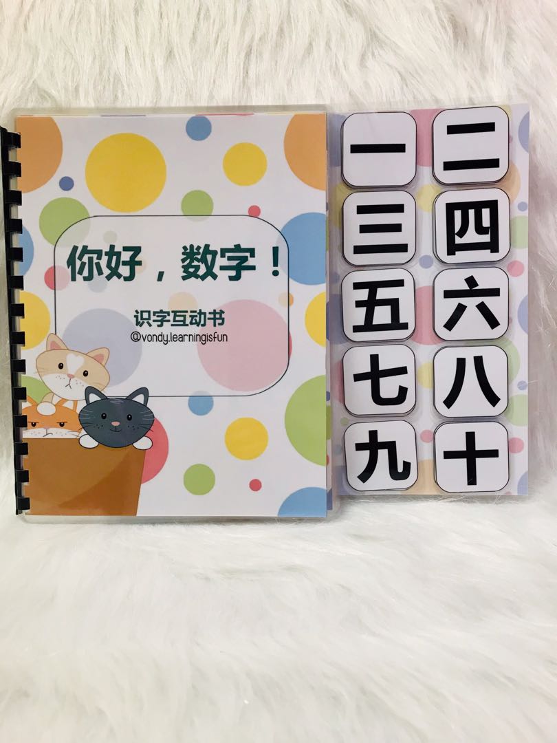 Chinese interactive book - learning numbers, Hobbies & Toys, Books ...