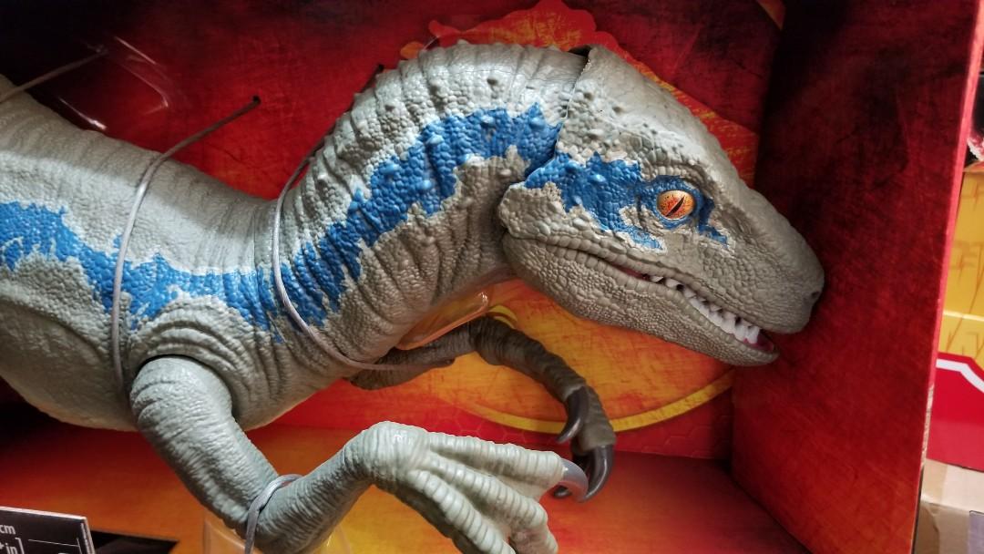 Mattel Jurassic World Super Colossal Colosal Velociraptor Blue, 興趣及遊戲 ...