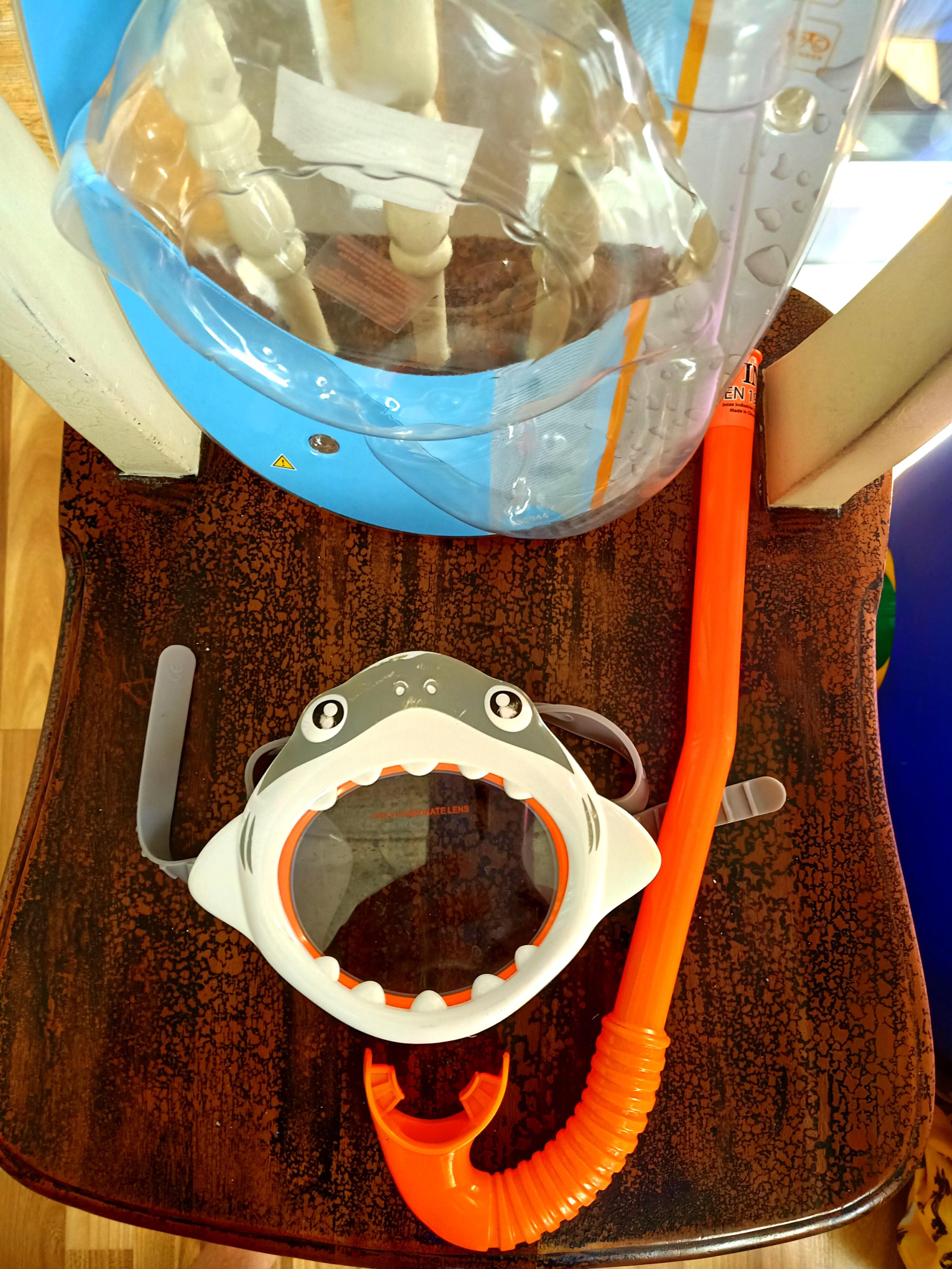 Shark Fun Snorkeling Set, Toys & Collectibles, Mainan di Carousell