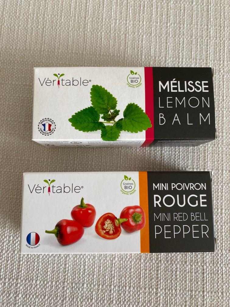 Veritable Lingots - seeds for your indoor garden, 傢俬＆家居, 園藝, 園藝工具和裝飾品 ...