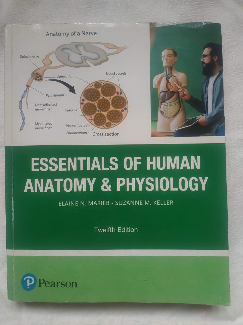 [SHS BOOKS] Senior High School Books ( STEM, ABM, GAS, HUMMS, HEALTH ...