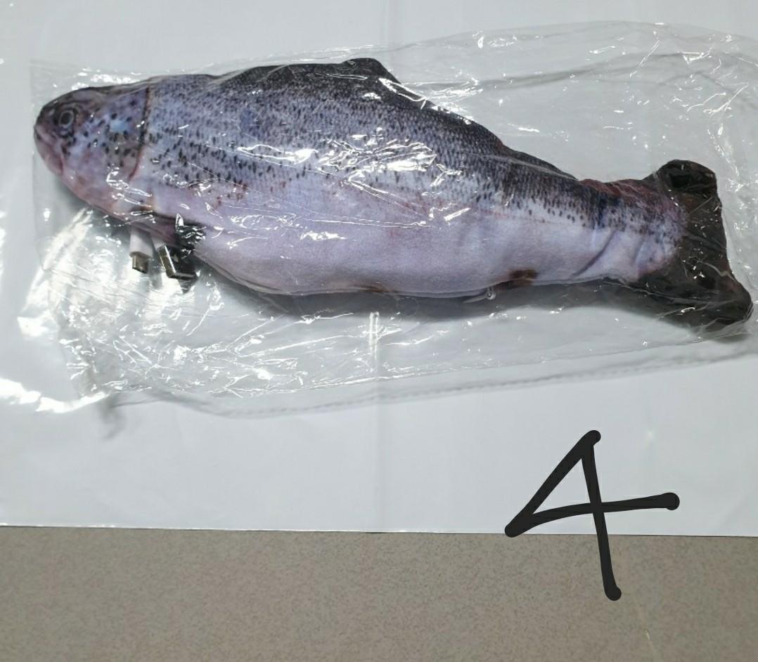 Flopping Fish aka Dancing Fish - Cat Toy, Children Toy, Pet Supplies ...