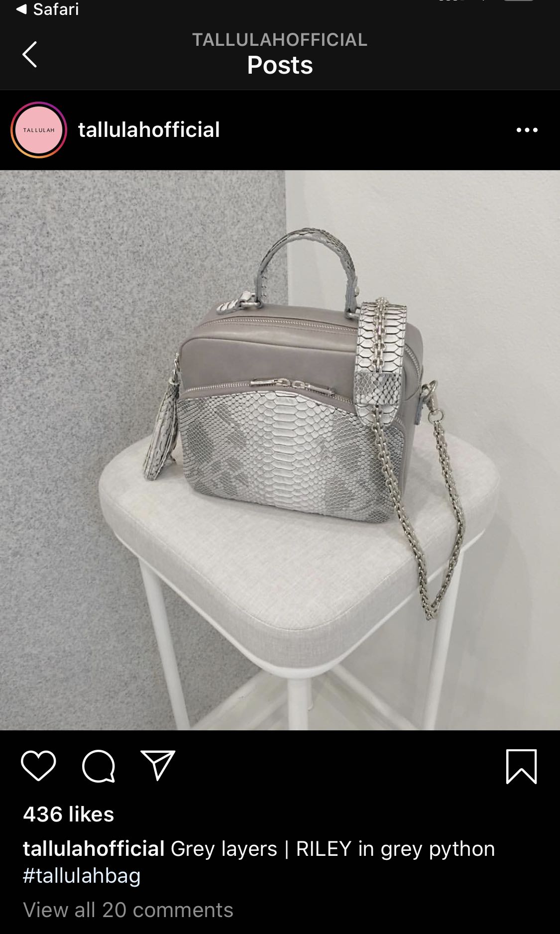 RILEY in Grey Python, Women's Fashion, Bags & Wallets, Cross-body Bags ...