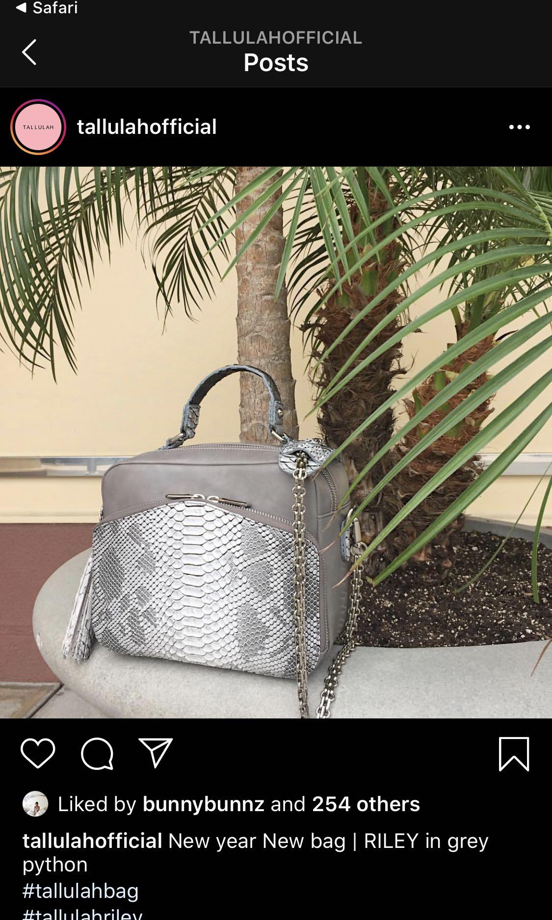 RILEY in Grey Python, Women's Fashion, Bags & Wallets, Cross-body Bags ...