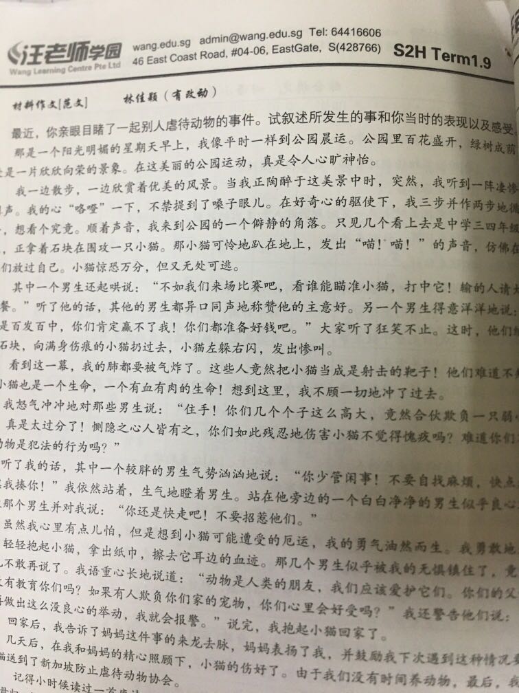 Sec 2 Higher Chinese notes | practices | compo | comprehension | cloze ...