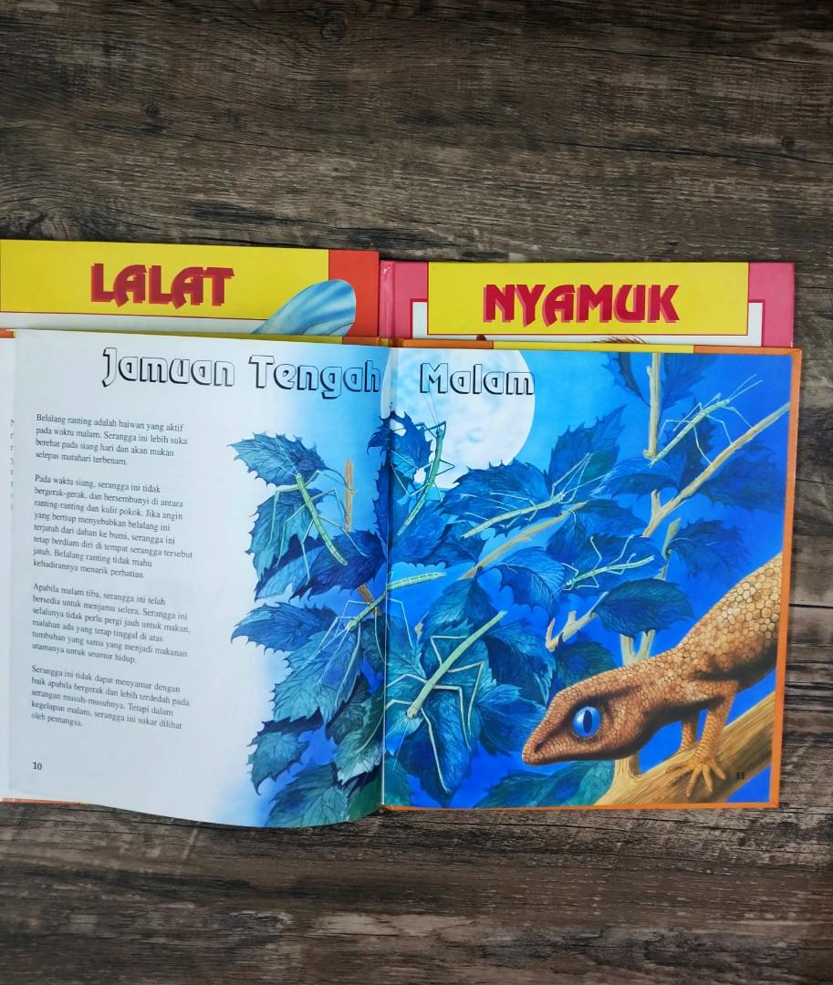 Malay Children Book, Hobbies & Toys, Books & Magazines, Children's ...