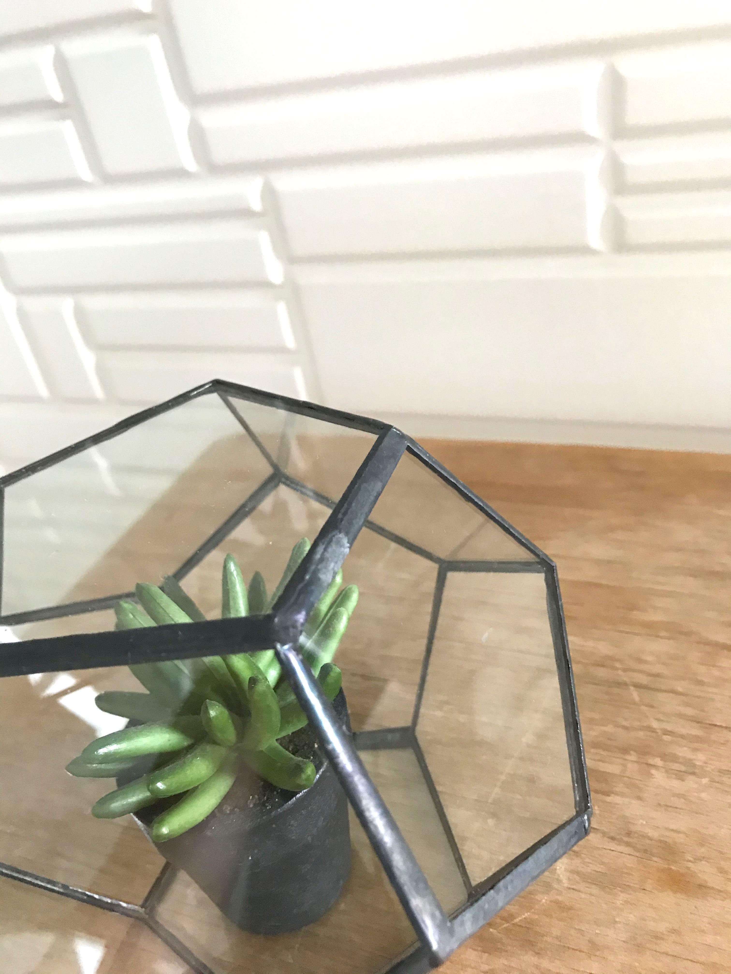 TYPO Hexagon glass terrarium planter vase pot minimalist, Furniture ...