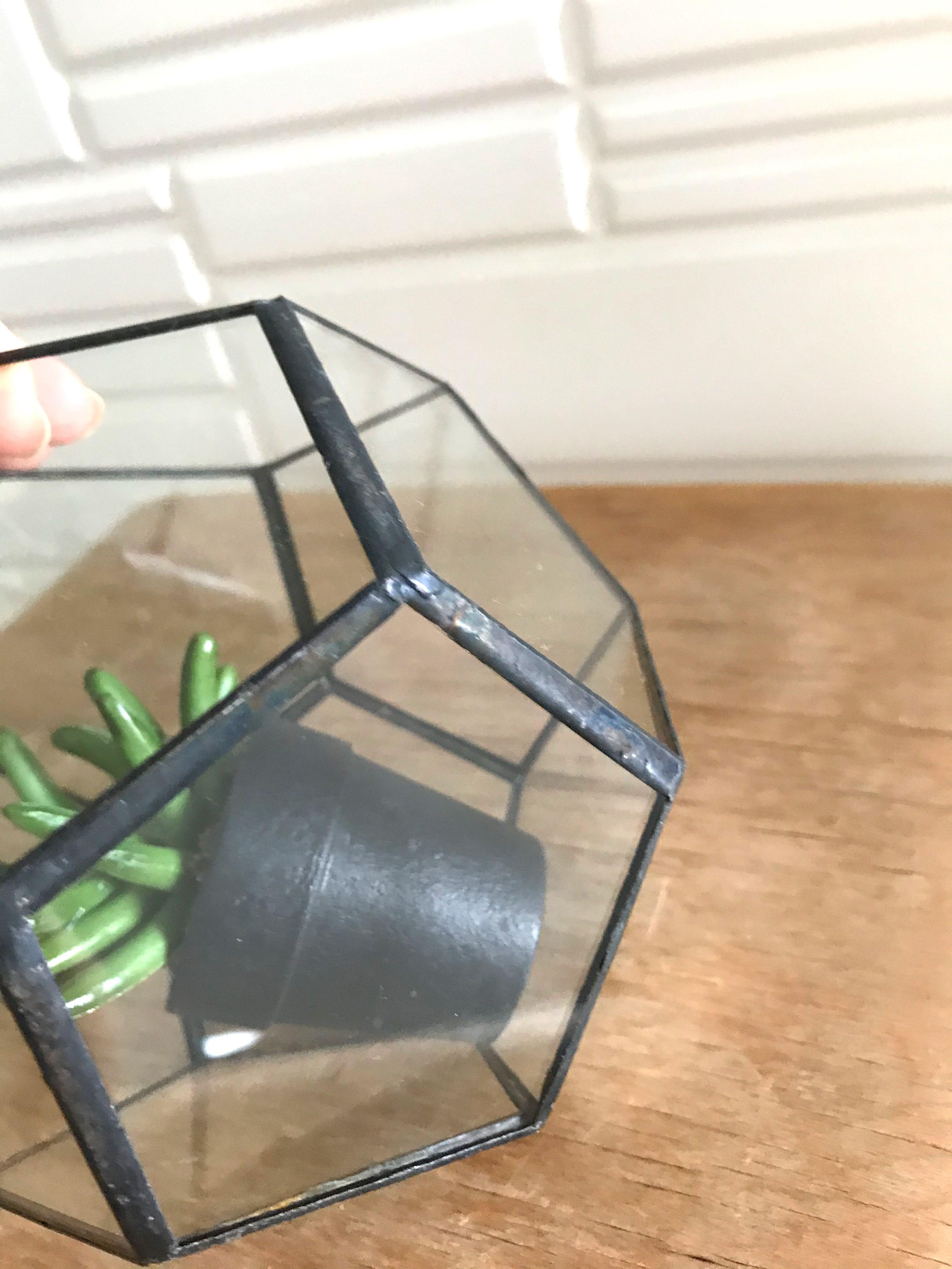 TYPO Hexagon glass terrarium planter vase pot minimalist, Furniture ...