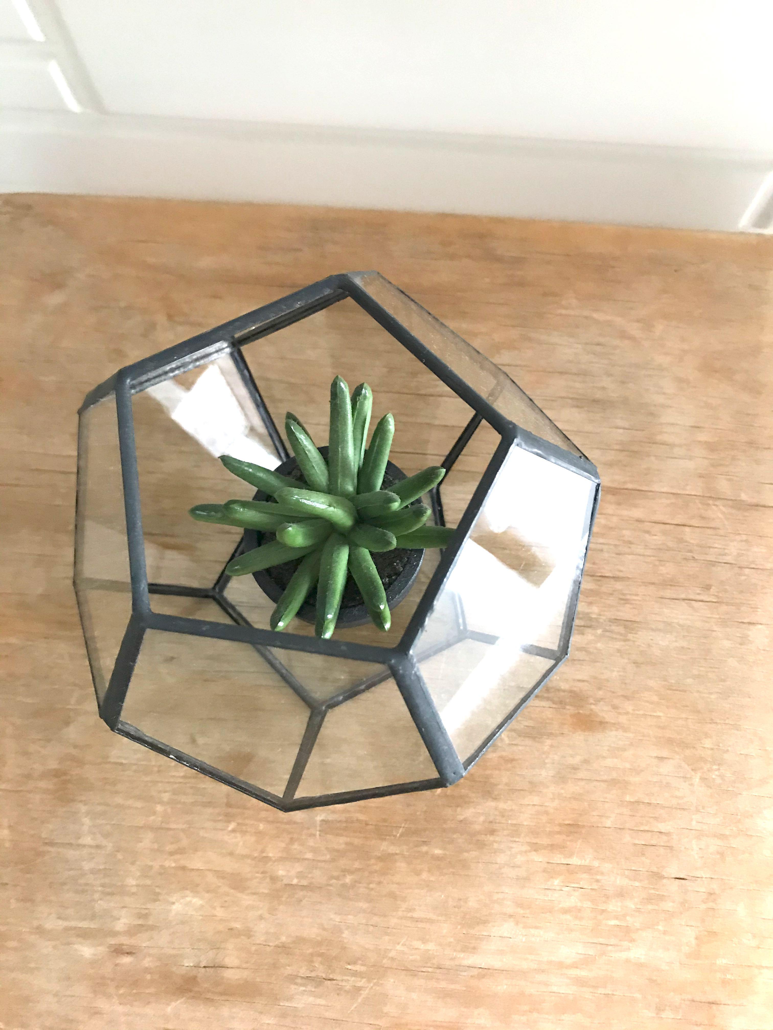 TYPO Hexagon glass terrarium planter vase pot minimalist, Furniture ...