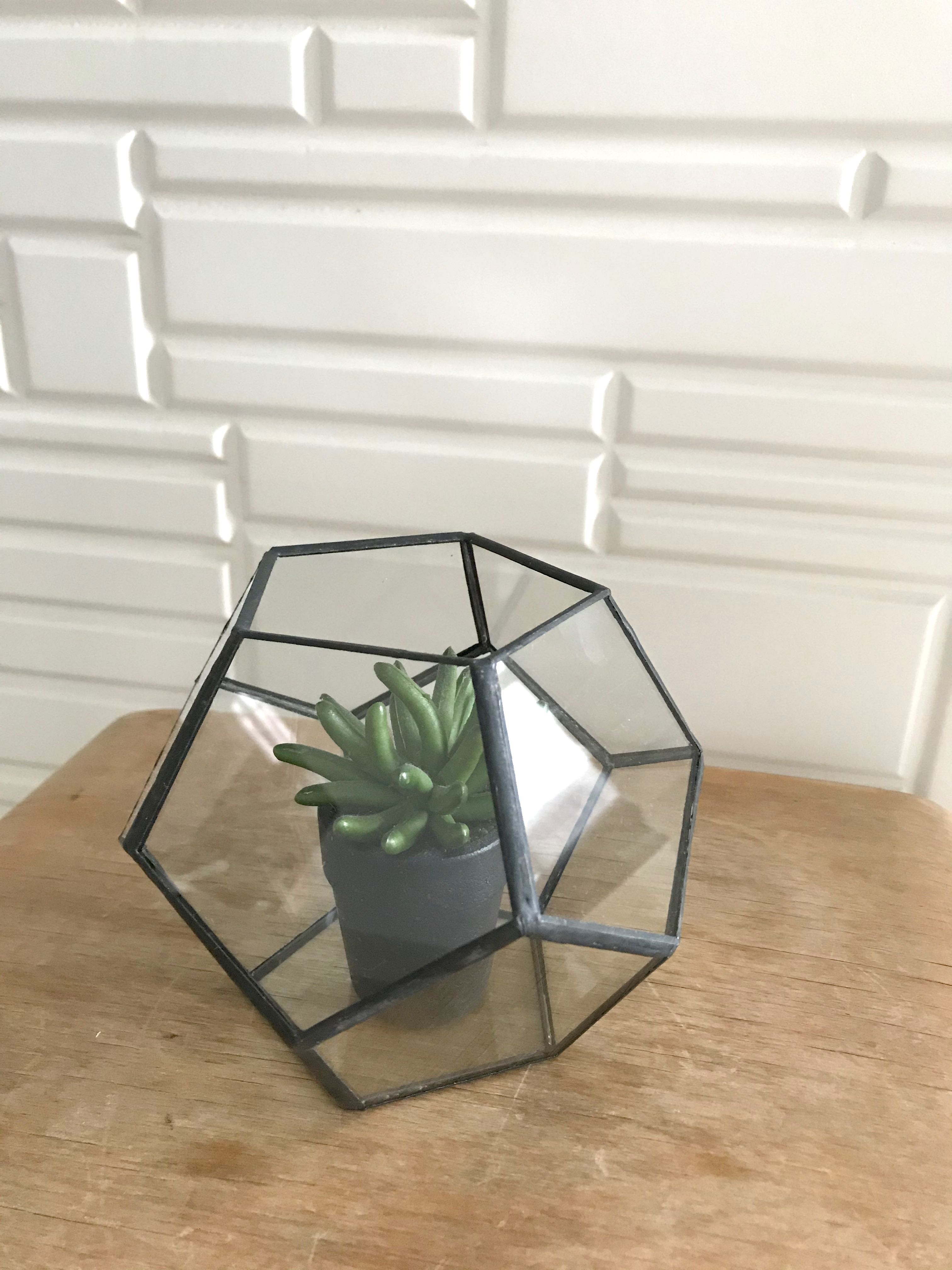 TYPO Hexagon glass terrarium planter vase pot minimalist, Furniture ...