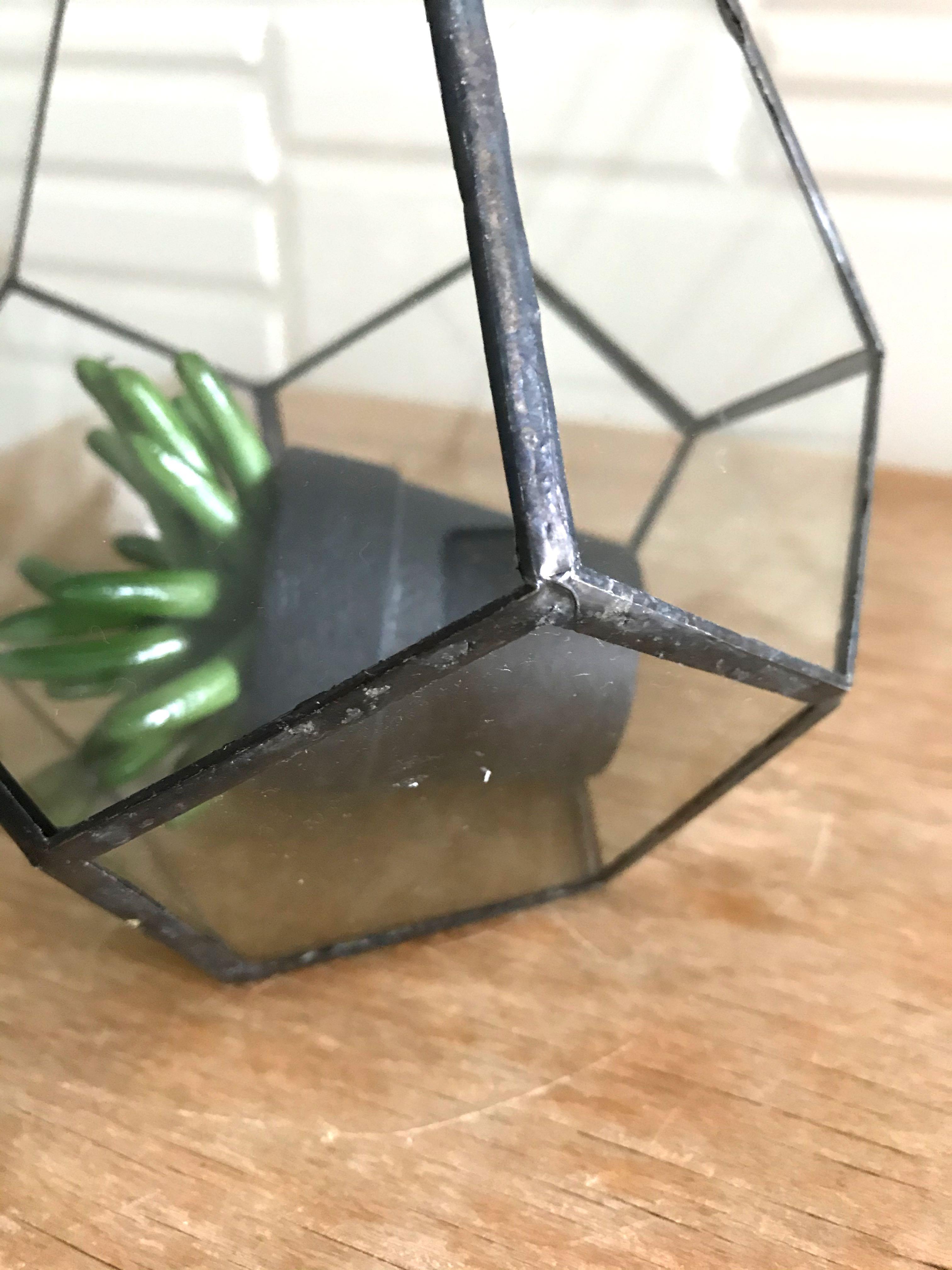 TYPO Hexagon glass terrarium planter vase pot minimalist, Furniture ...