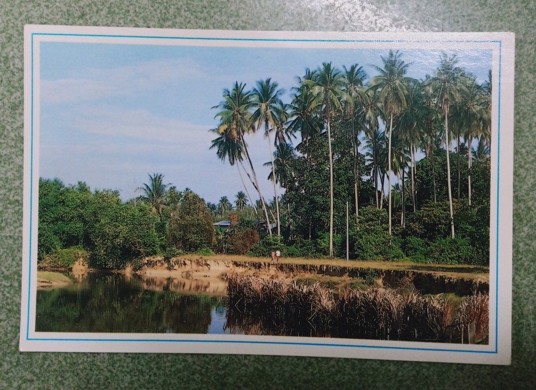 Vintage 80's/90's Postcard/Poskad of Scenic View of the River With the ...