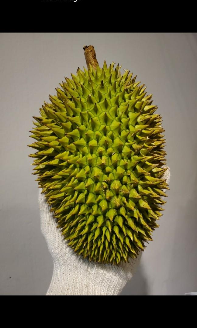 Durian Premium Grade A AA AAA MSW XO Tekka D2 Pahang Promotion fruit ...