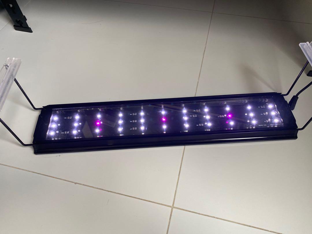 Fish tank set, Pet Supplies, Homes & Other Pet Accessories on Carousell