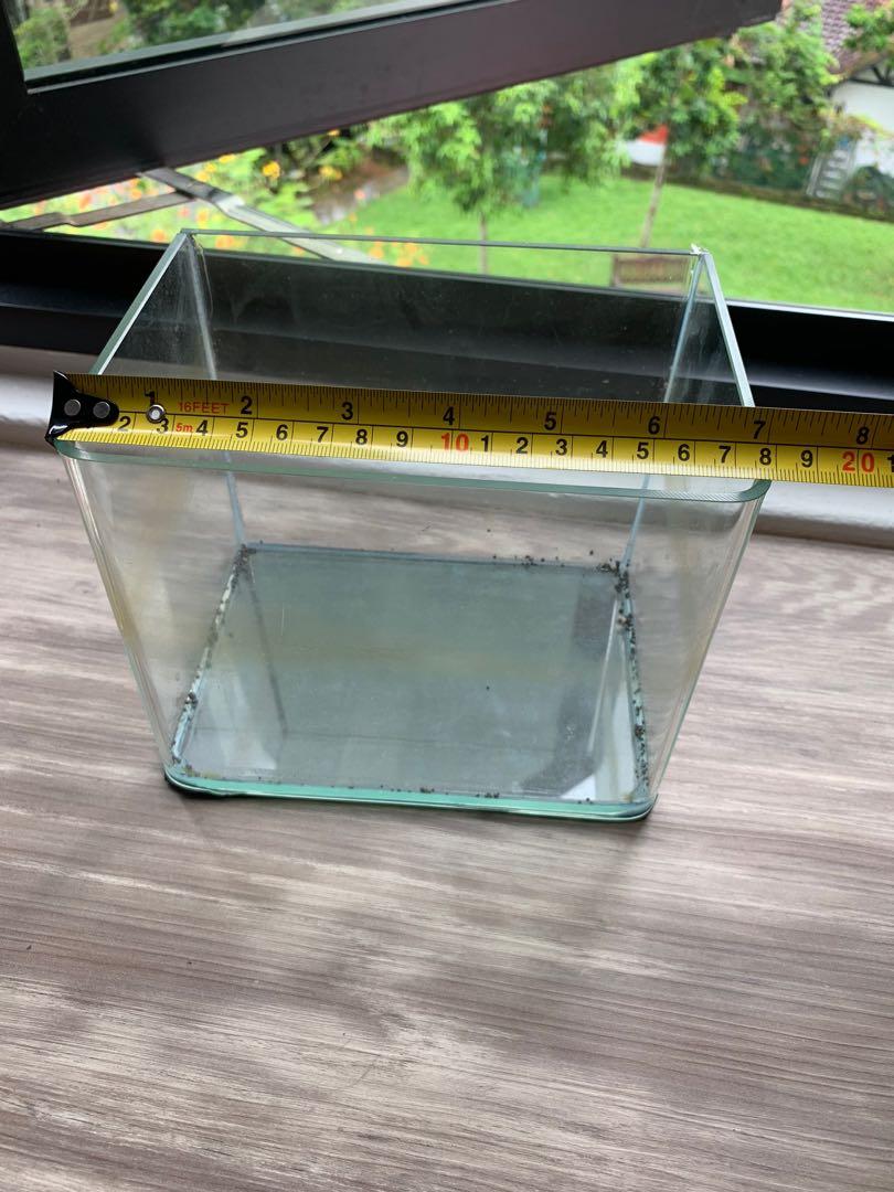 Glass betta tank, Pet Supplies, For Fish, Fish Tanks on Carousell