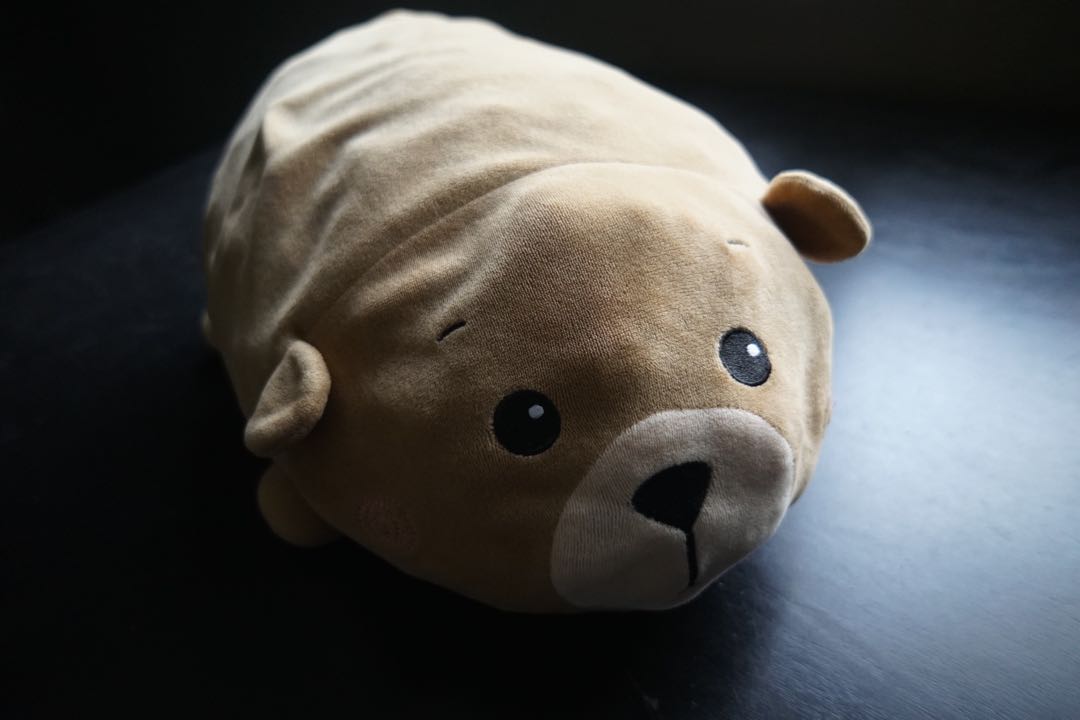 Miniso Brown Grizzly Bear, Hobbies & Toys, Toys & Games on Carousell