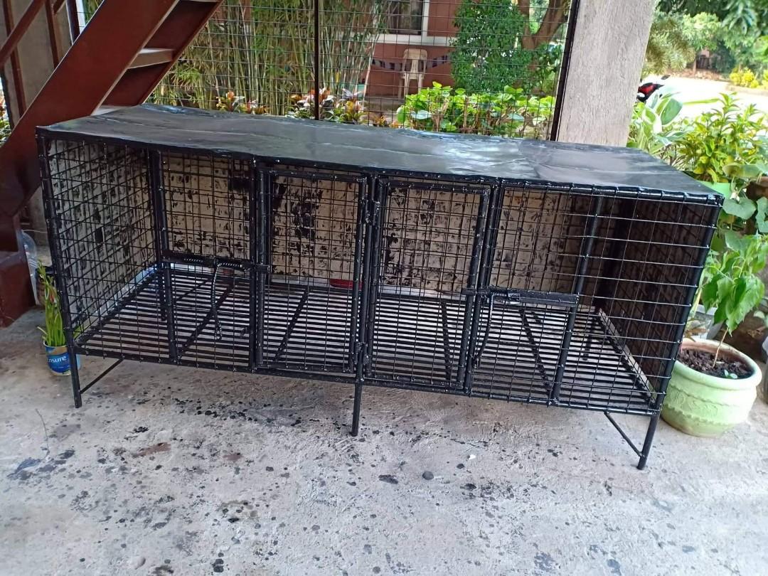 Second Hand Steel Dog Cage, Pet Supplies, Homes & Other Pet Accessories ...