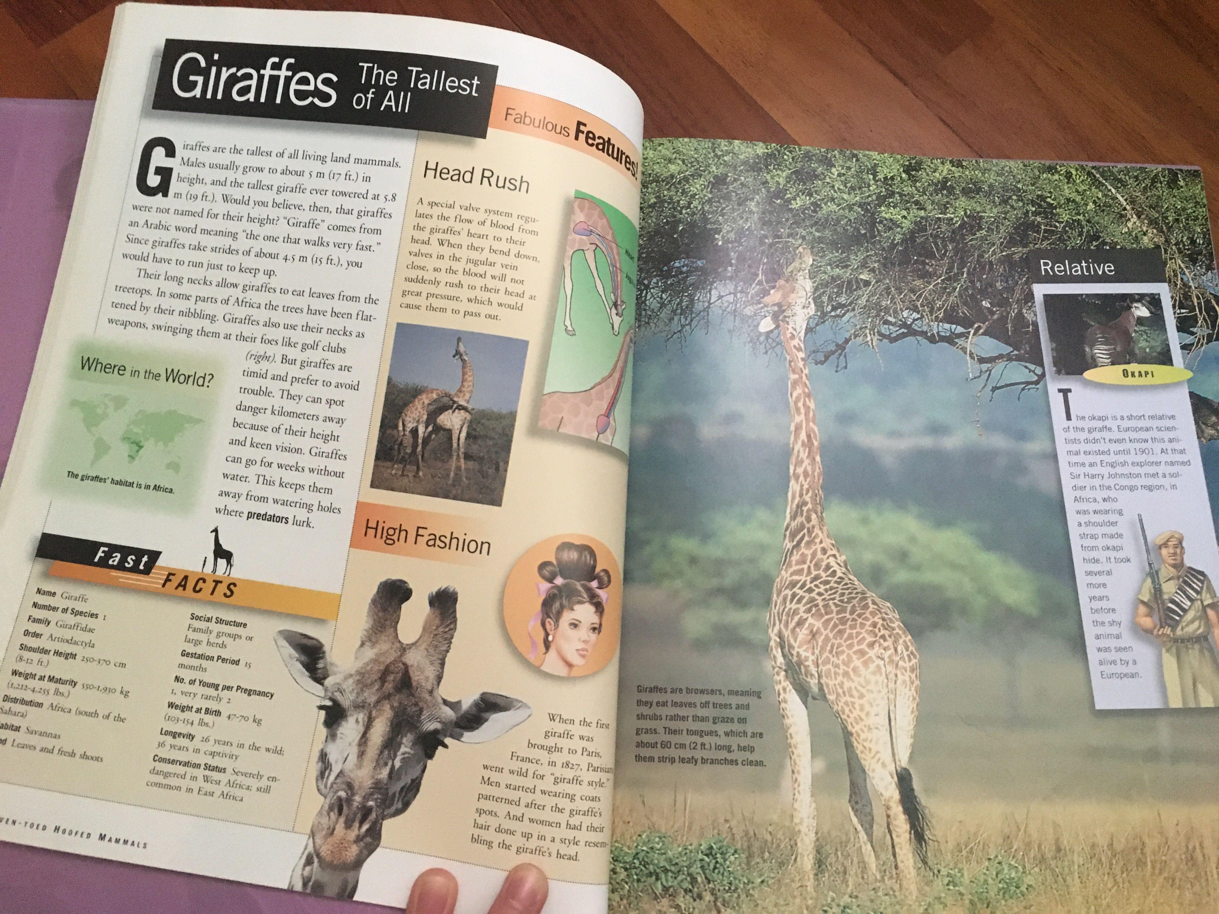 Simple Encyclopedia, Hobbies & Toys, Books & Magazines, Fiction & Non ...