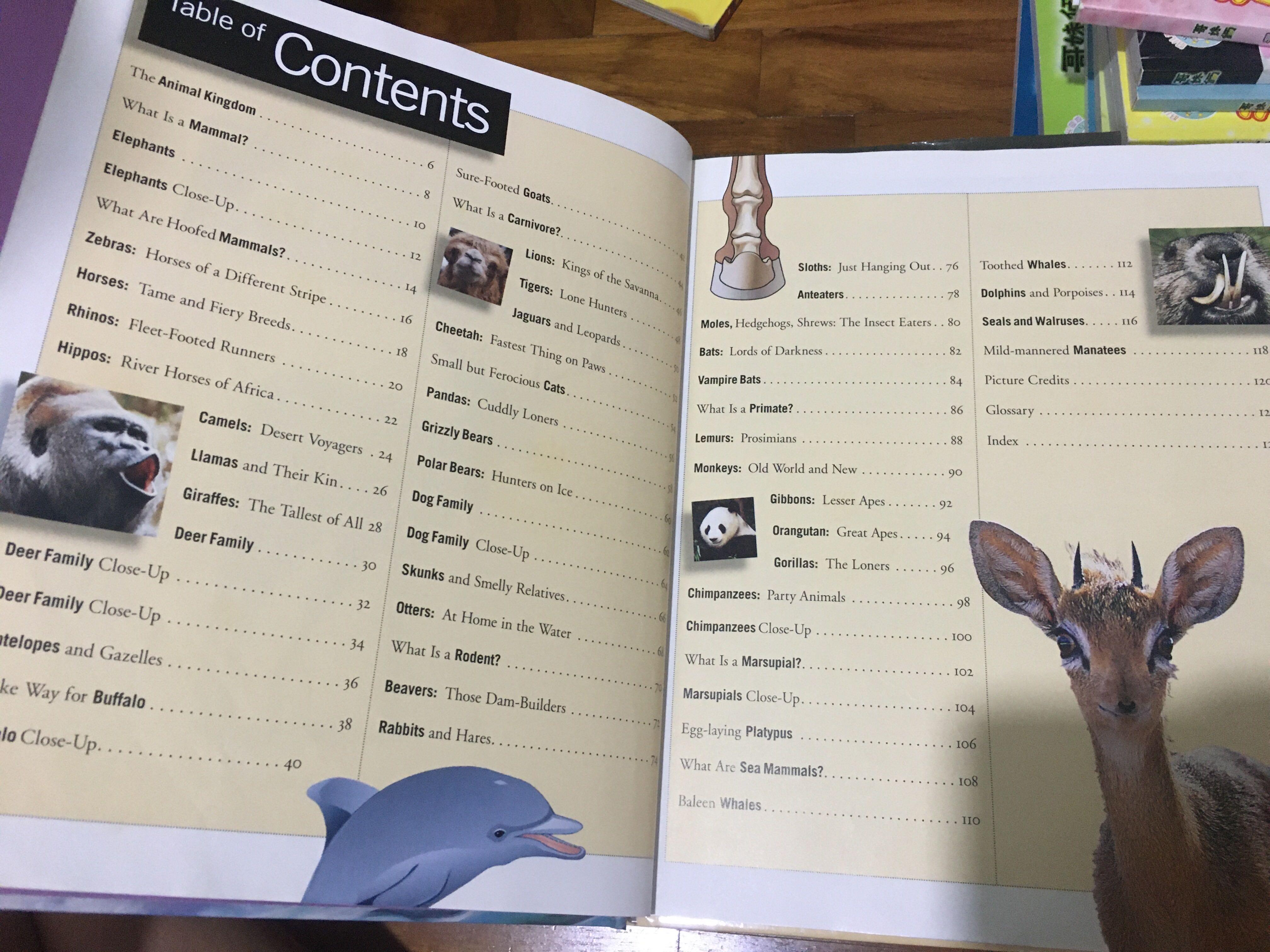 Simple Encyclopedia, Hobbies & Toys, Books & Magazines, Fiction & Non ...