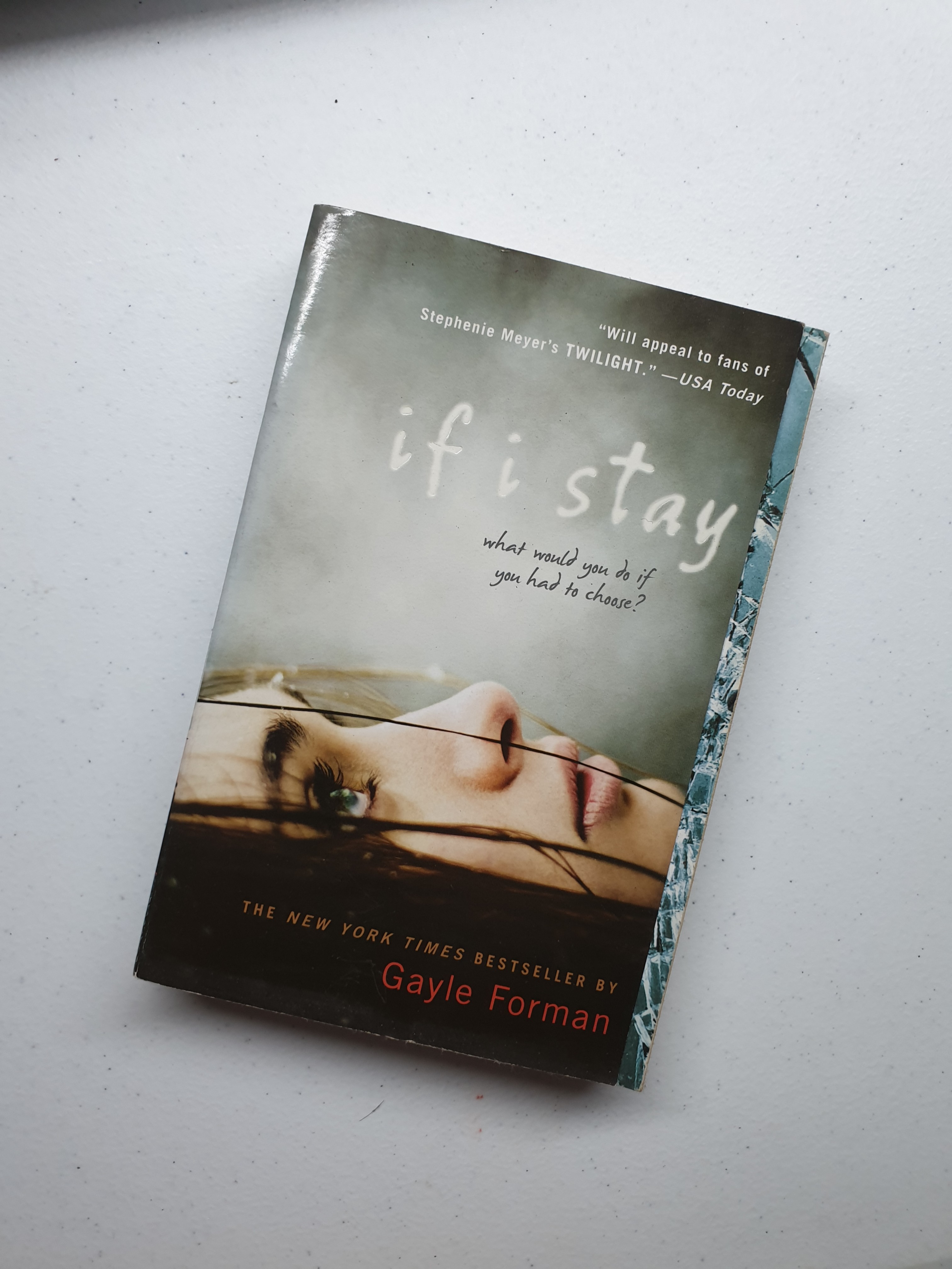 [2 books] If I Stay (Book 1 and 2), Hobbies & Toys, Books & Magazines ...