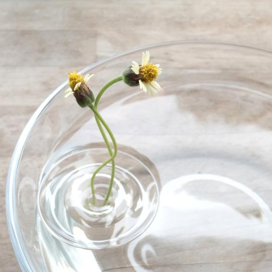 Floating Flower Vase, Furniture & Home Living, Home Decor, Vases ...