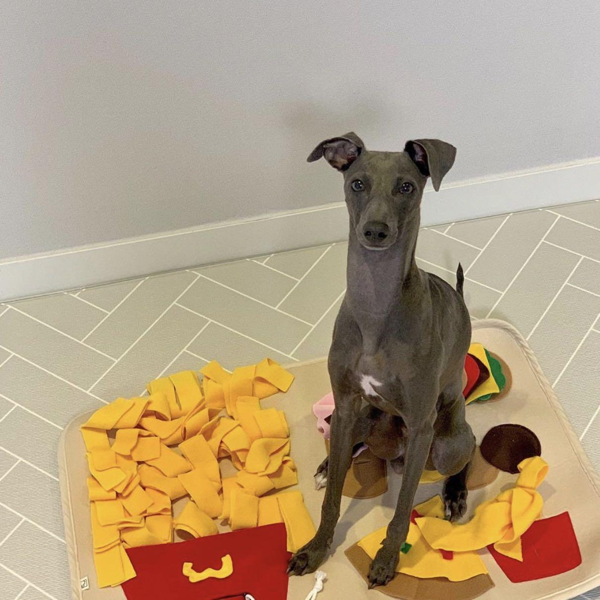 Siso Play Mcdonald's Mat (nosework mat), Pet Supplies, Homes & Other ...