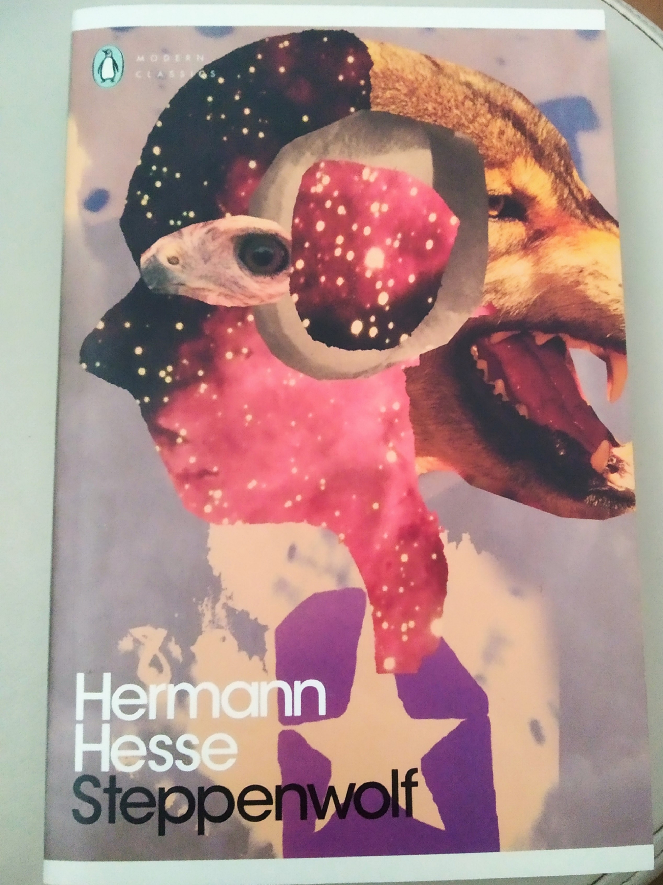Steppenwolf by Hermann Hesse, Hobbies & Toys, Books & Magazines ...