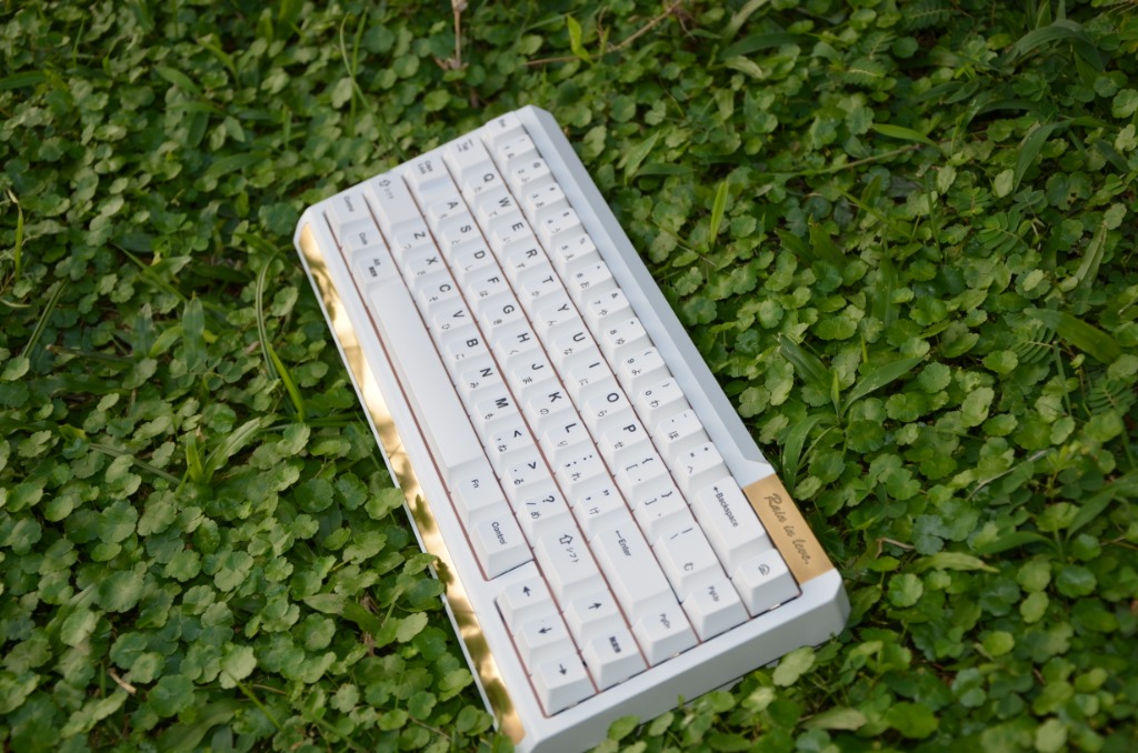 Ark 68 custom mechanical keyboard, Computers & Tech, Parts ...